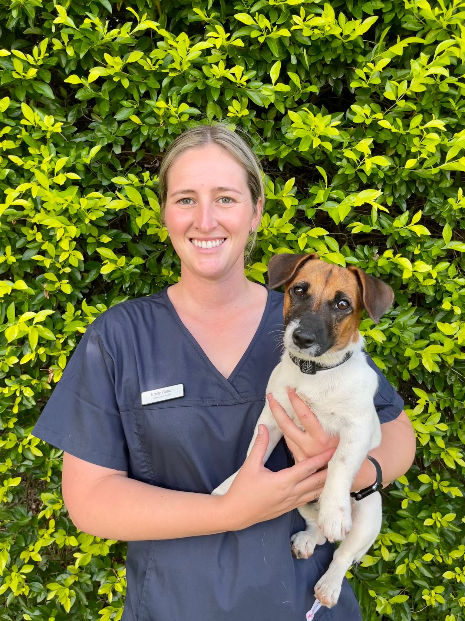 Who we are - Emerald Vet Group
